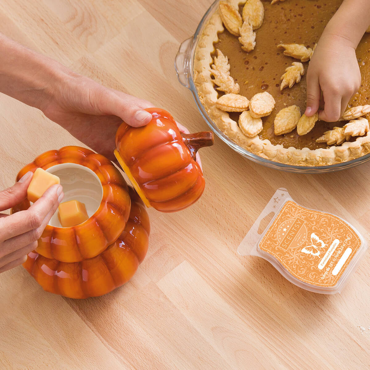 Scentsy Pumpkin Warmer - NoWickChilly ~ Online Scentsy Fragrance Store